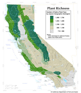 Outdoor Education School Science Camps California